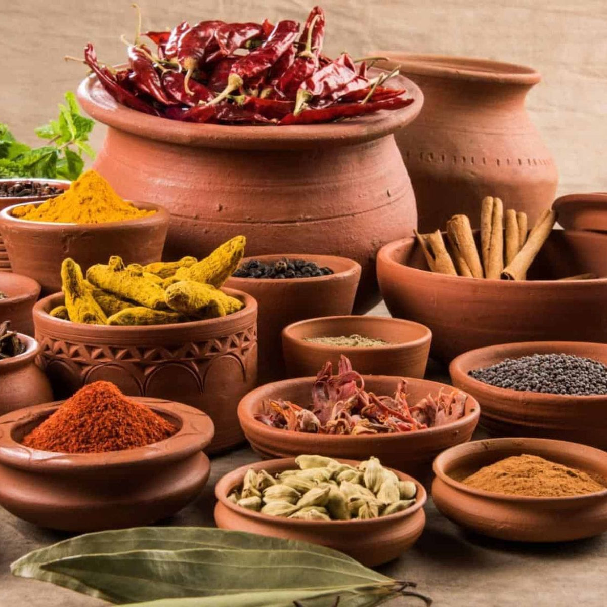 Top 5 Indian Spices & the Health Benefits They Offer – Narchuvai Foods